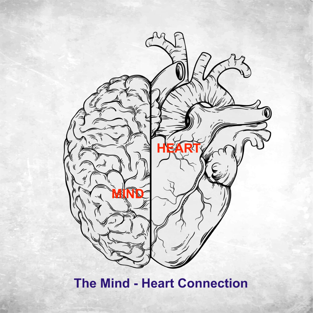 Mind Body Spirit Resources for Healing - Collection of Articles ...